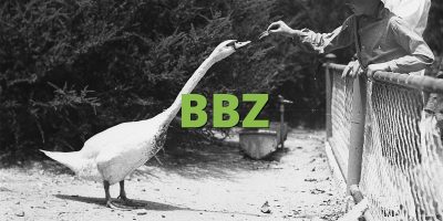 BBZ Meaning Unveiled: 5 Eye-Opening Facts That Will Blow Your Mind ...