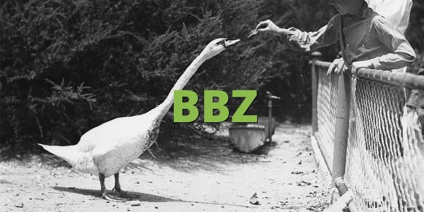 BBZ Meaning Unveiled: 5 Eye-Opening Facts That Will Blow Your Mind ...