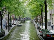 Dutch Swear Phrases: 10 Powerful Insults to Master Like a Native ...