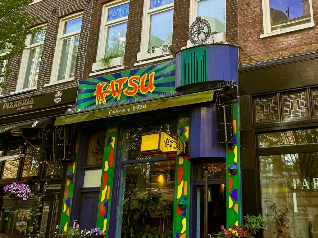 Katsu Coffee Shop: 10 Cozy Features That Make It Stand Out - Money Shark