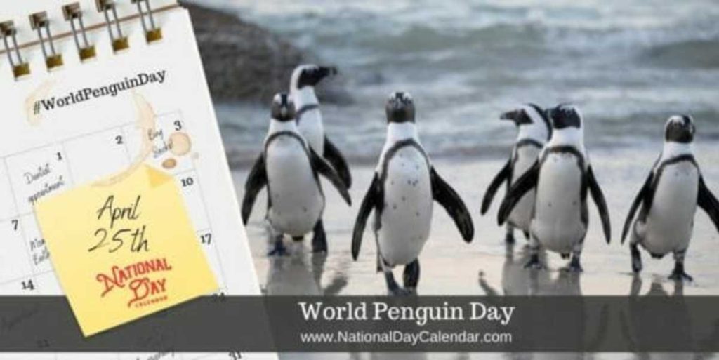 World Penguin Day Celebration: 10 Unique Ways to Honor These Majestic ...