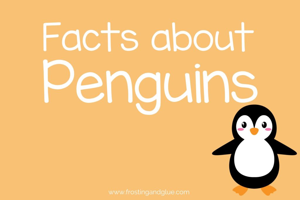 Penguin Fun Facts: 10 Astonishing Secrets About These Adorable Birds ...