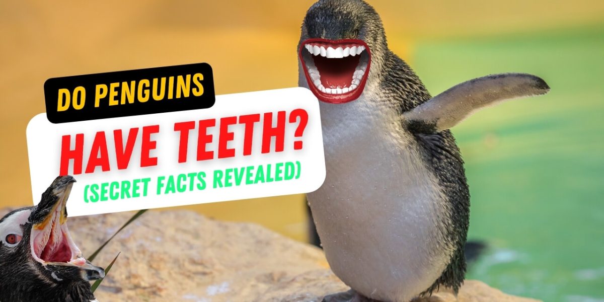 Penguins’ Teeth: 10 Incredible Secrets You Never Knew – Money Shark