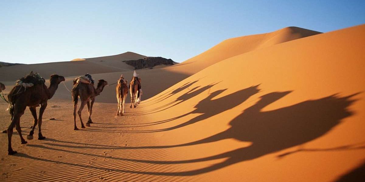 Reasons That You Should Visit the Desert: 10 Breathtaking Experiences ...