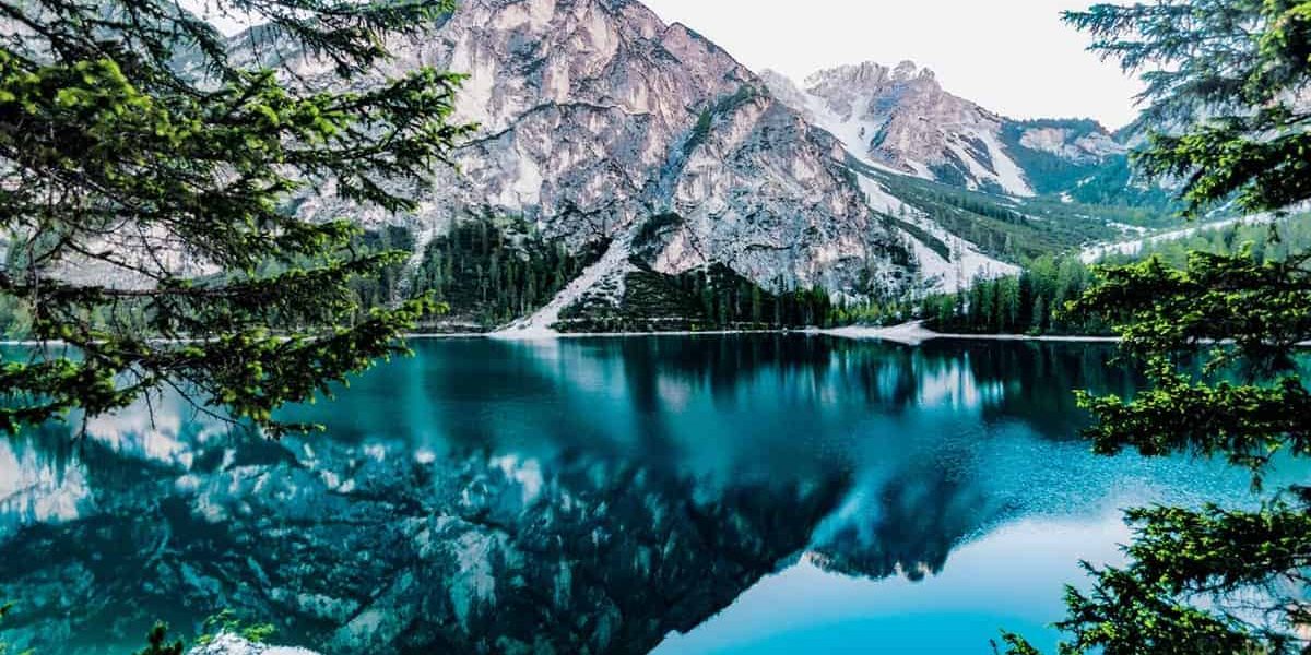 What Is the Definition of Landscape Format? A Complete Guide for ...