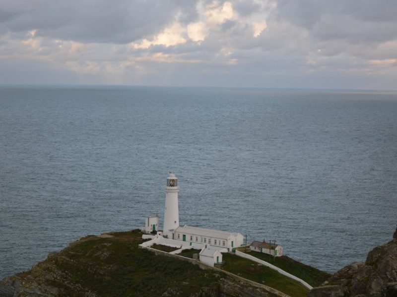 Define GRP: Understanding Gross Rating Point in Advertising and ...