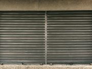 Arctic Moss Survival: 10 Incredible Adaptations in Extreme Cold - Money ...